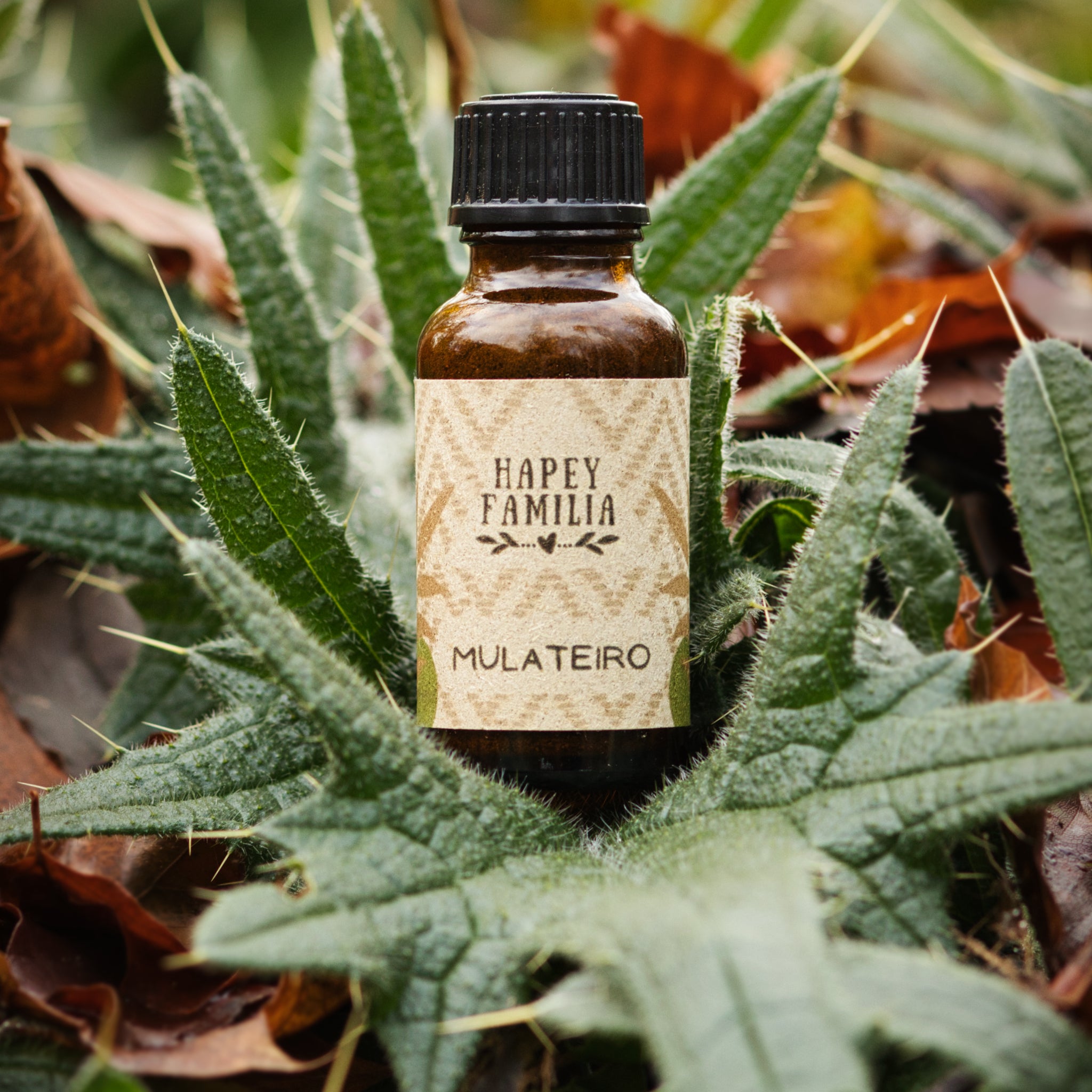 Mulateiro Rapé – Hapey Familia